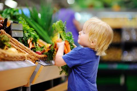 Children's Right2Food | Food Foundation