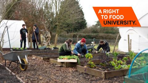 What we do | Food Foundation